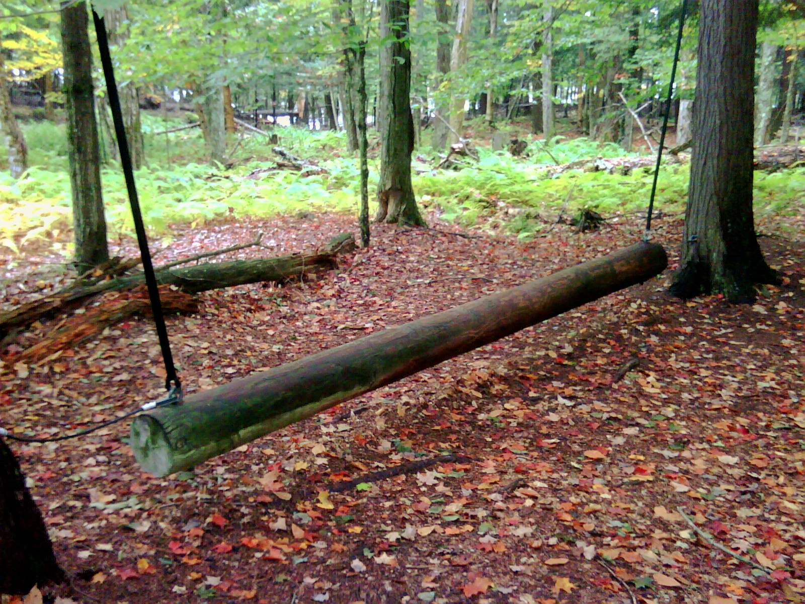 Challenge Course Low Elements